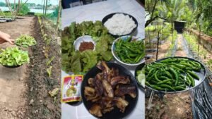 K-HUB – Kepa Learning Hub