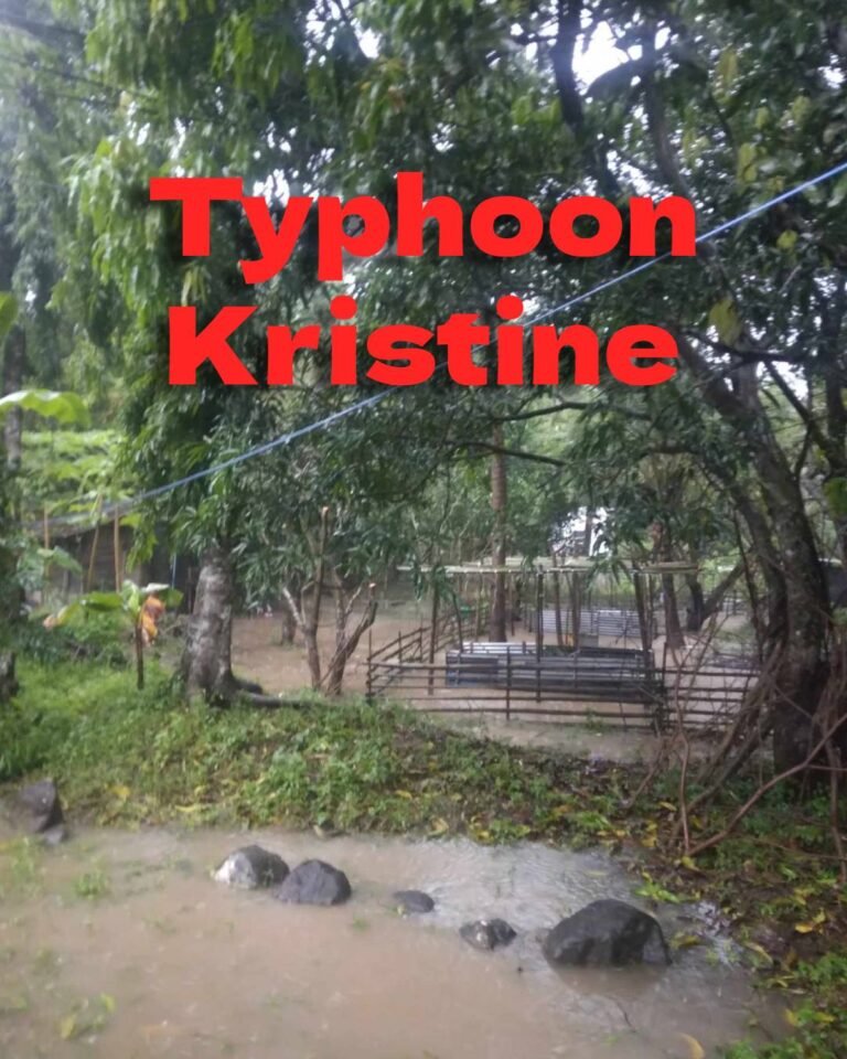 K-HUB – Kepa Learning Hub